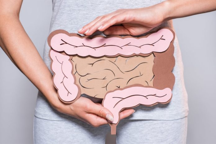 Importancia del Butirato sobre la Microbiota Intestinal y la Salud